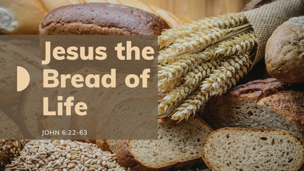 Bread of Life: What It Means and Why It Matters – One Word in Christ